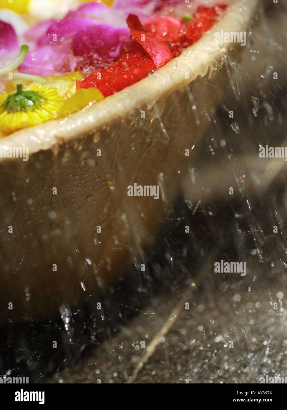 Flowers falling over hi-res stock photography and images - Alamy