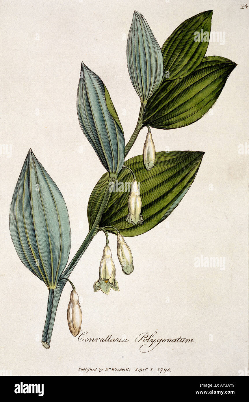 Seal of solomon hi-res stock photography and images - Alamy