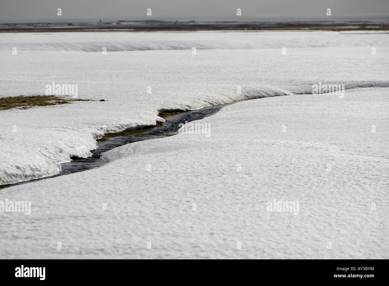 Winter is leaving and the snow is melting Stock Photo - Alamy