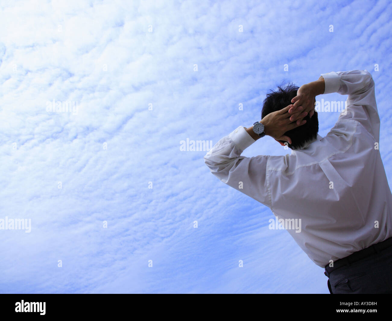 Rear view of a businessman looking in the sky Stock Photo - Alamy