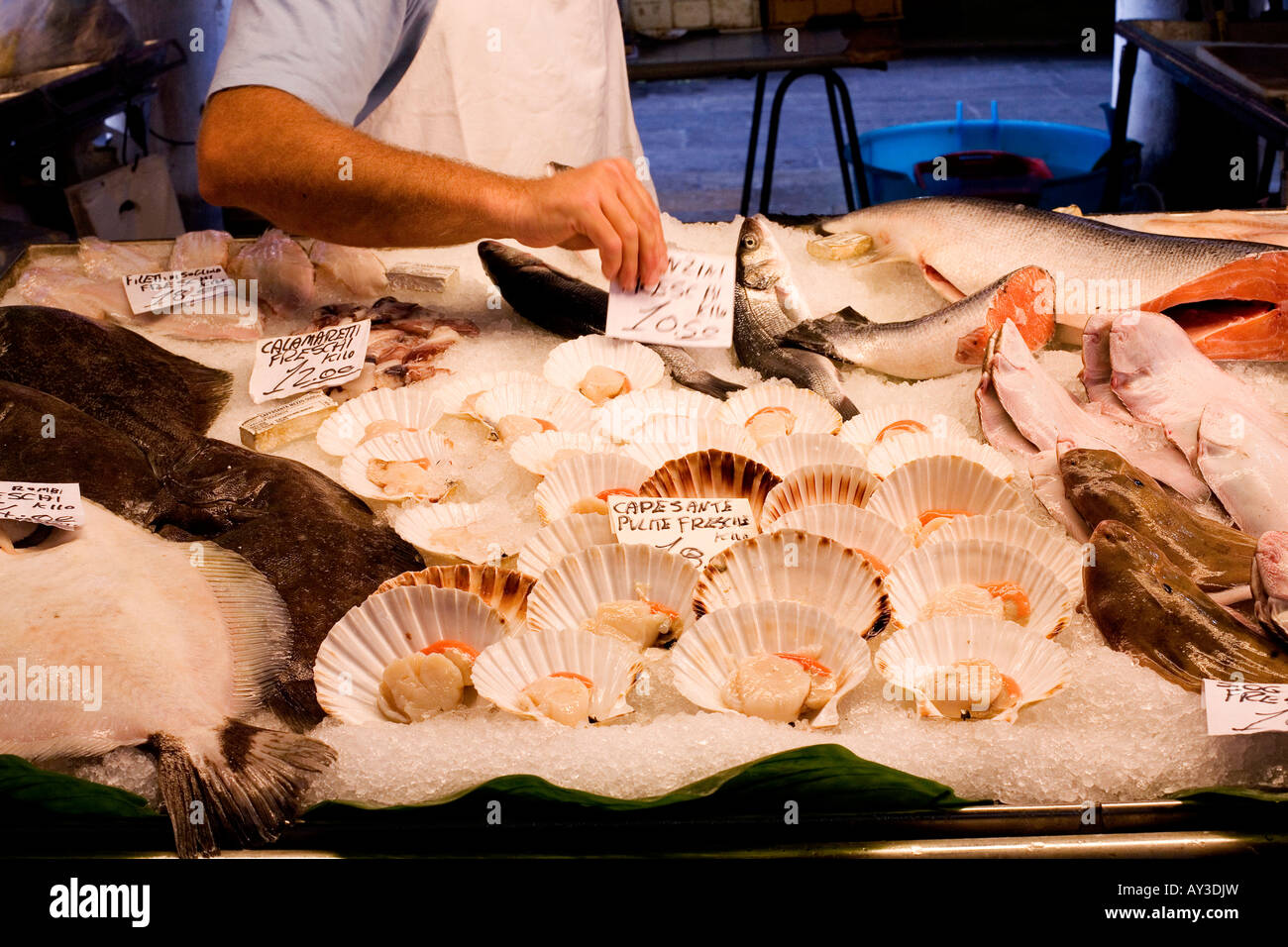 fishmonger arranging display of wares on counter at venice fish market ...