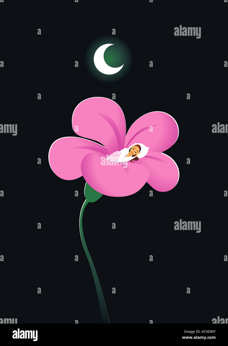 Woman sleeping in a flower Stock Photo - Alamy
