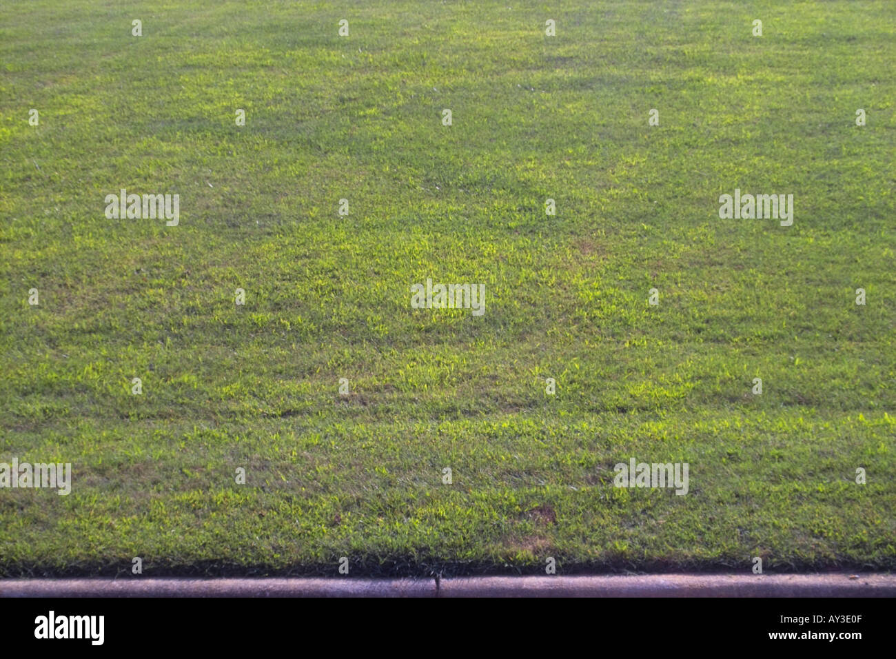 Grass turf yard Lawn green Stock Photo - Alamy