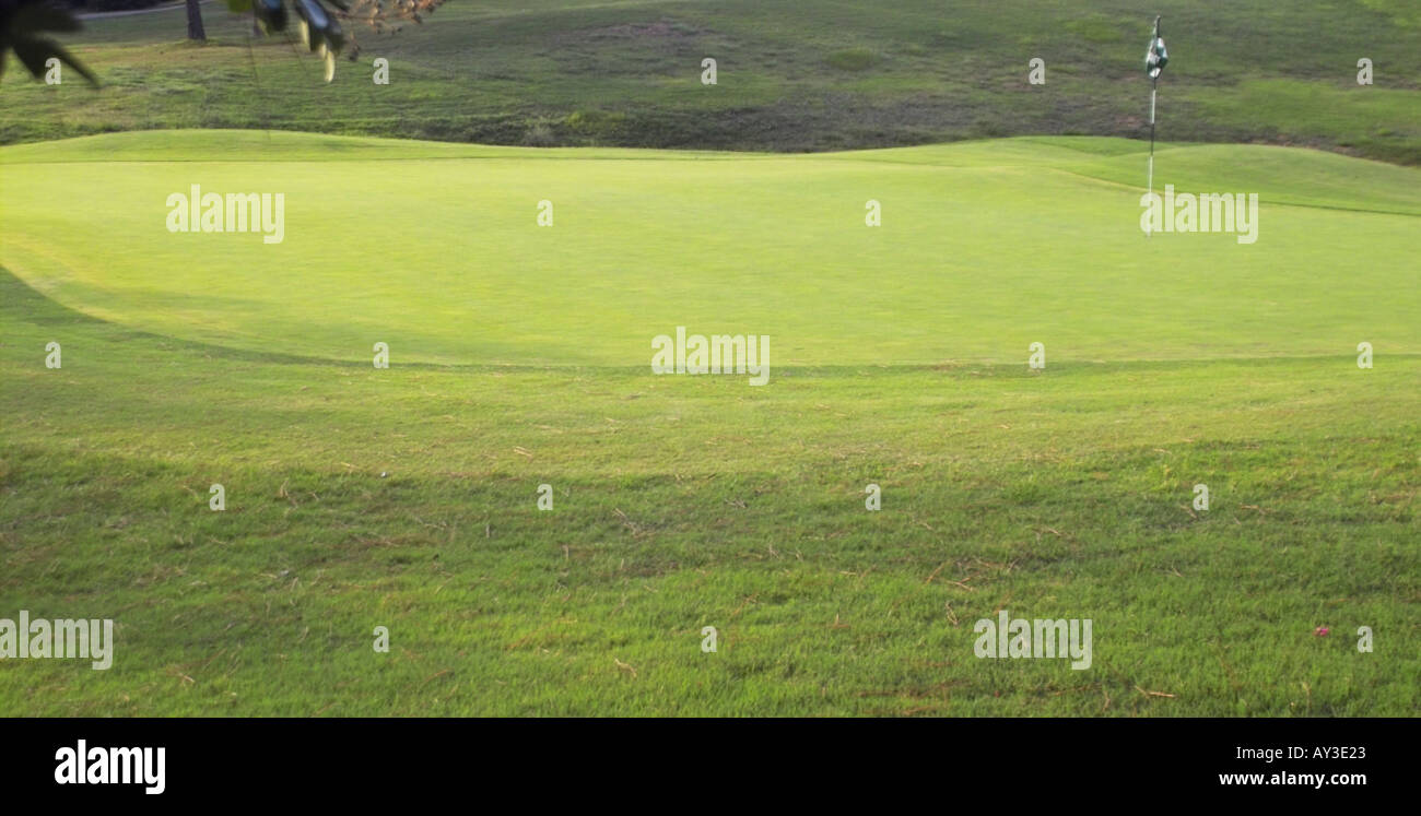 Grass Golf Course turf green Stock Photo - Alamy