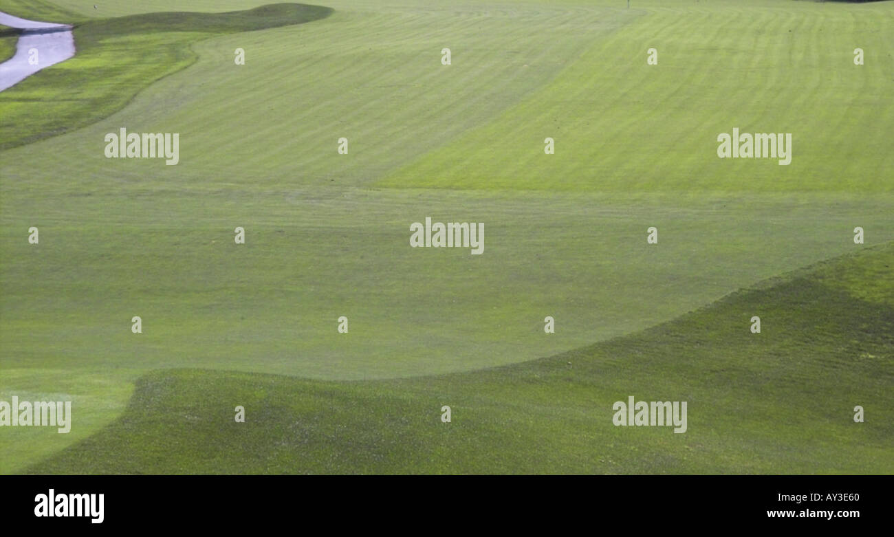 Grass turf yard Lawn green golf course Stock Photo - Alamy