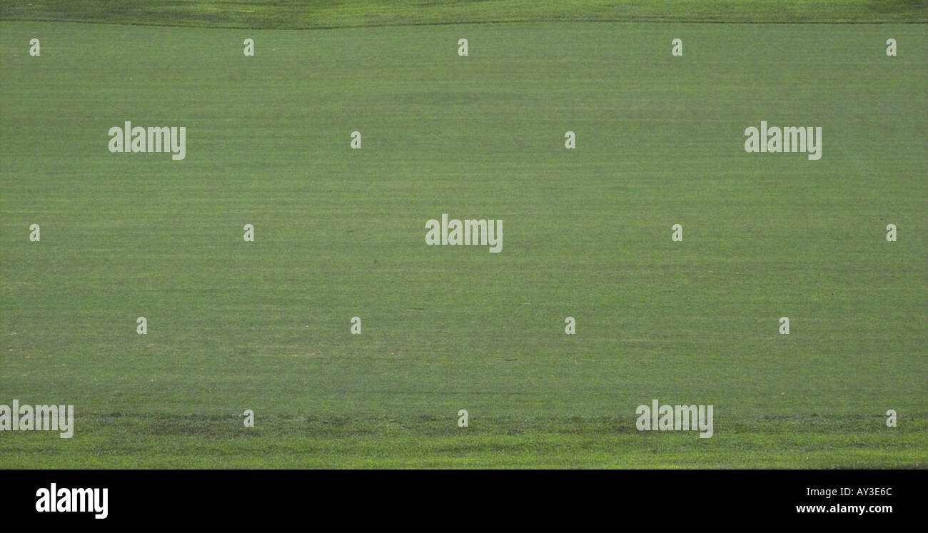 Grass turf yard Lawn green golf course Stock Photo - Alamy
