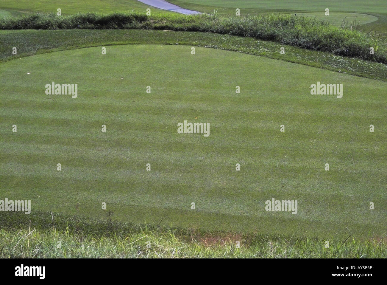 Grass turf yard Lawn green golf course Stock Photo - Alamy