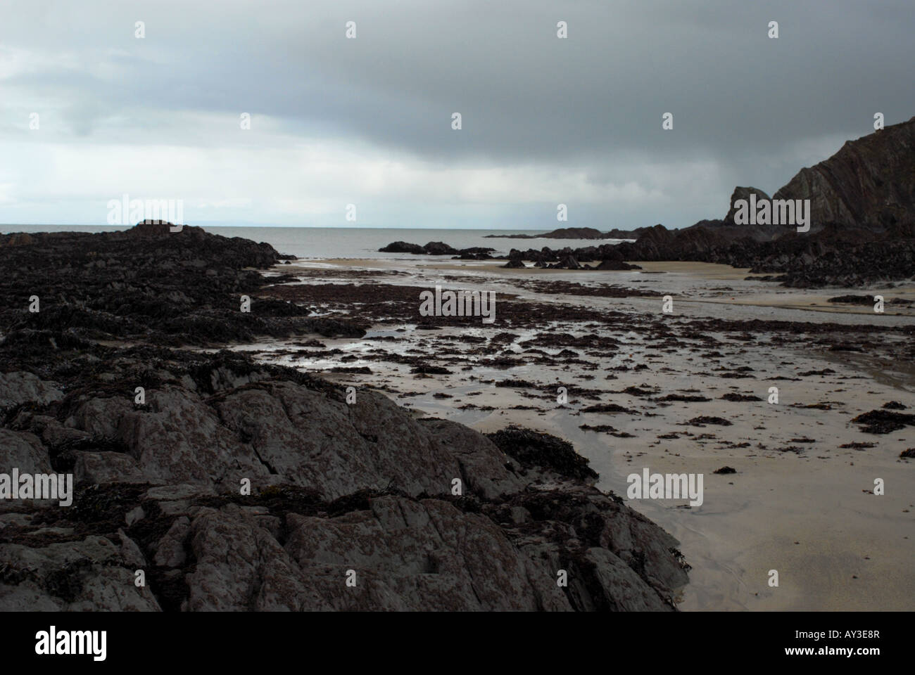 The rocky beach at Lee Bay on the north Devon coast Stock Photo - Alamy