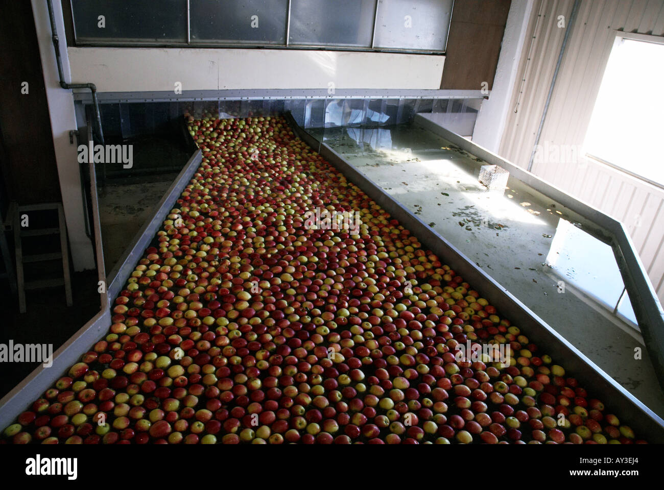 Kivik apple hi-res stock photography and images - Alamy