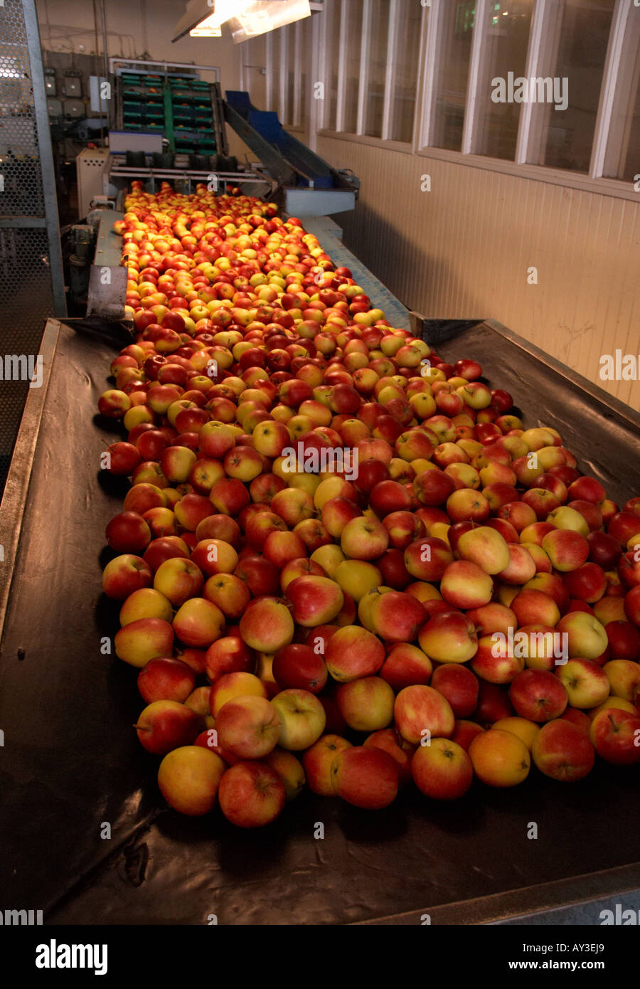 Transportband hi-res stock photography and images - Alamy