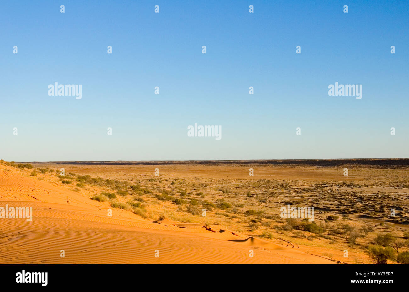 Big red sand dune simpson desert hi-res stock photography and images ...