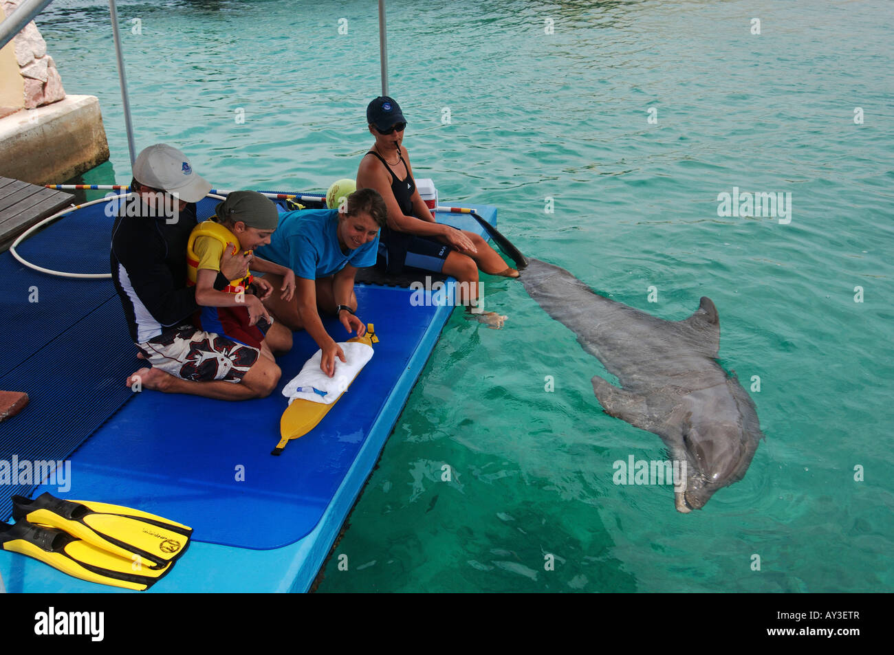 Dolphin therapy Lucas Knecht who is mentally and fysically disabled in ...