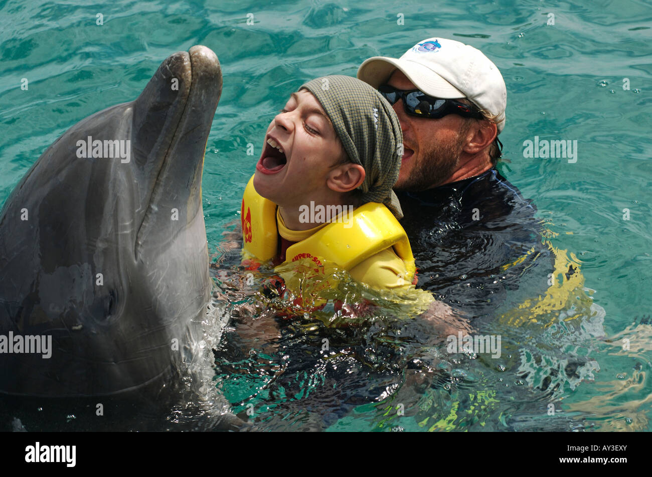 Dolphin therapy Lucas Knecht who is mentally and fysically disabled in ...