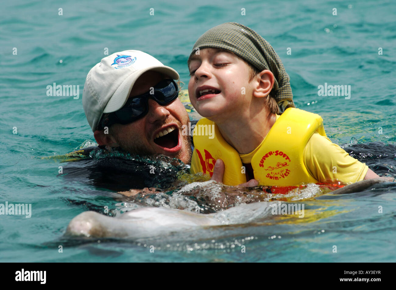 Dolphin Show At Dolphin Academy High Resolution Stock Photography and ...