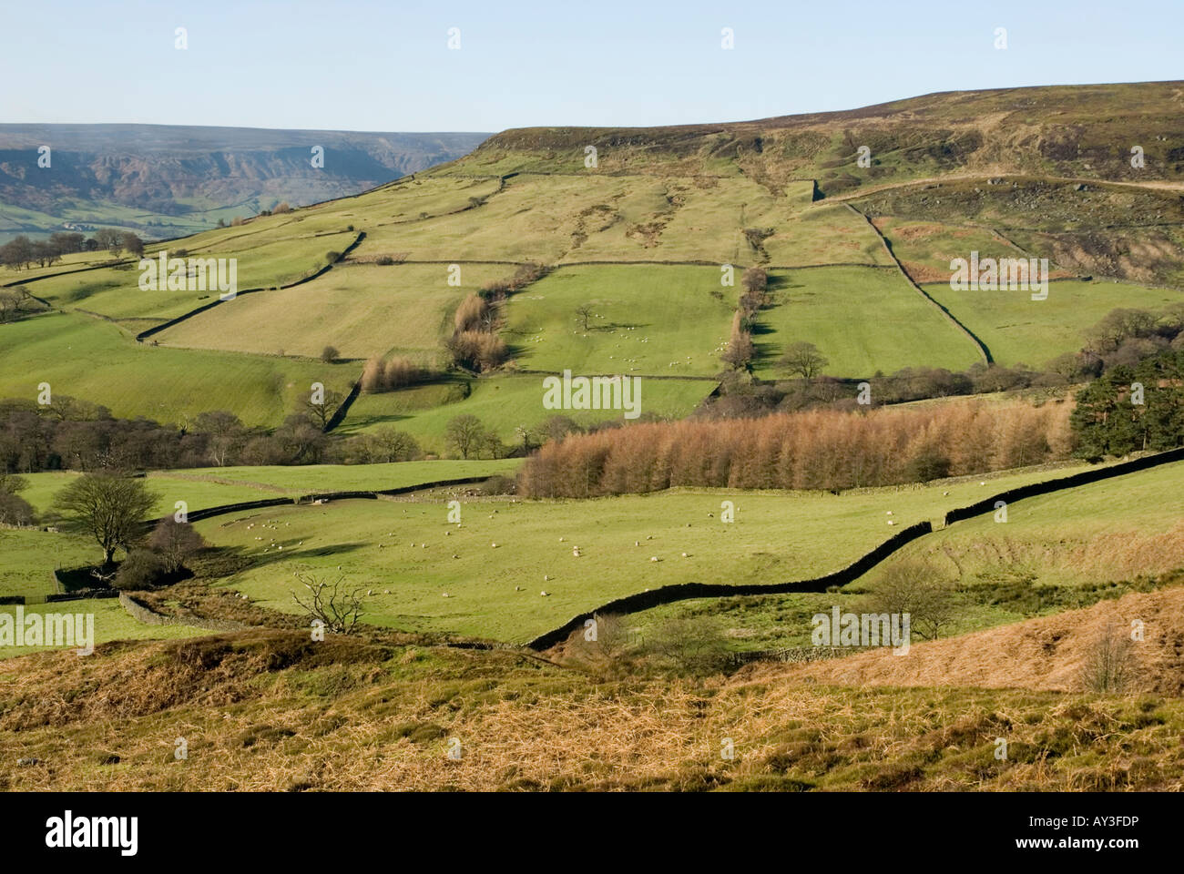 Westerdale North Yorkshire Stock Photo - Alamy