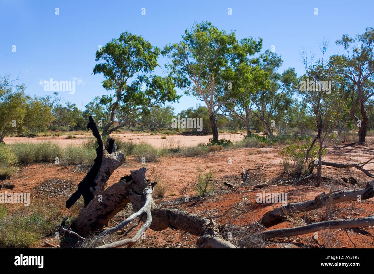 Dry River Bed Stock Photo - Alamy