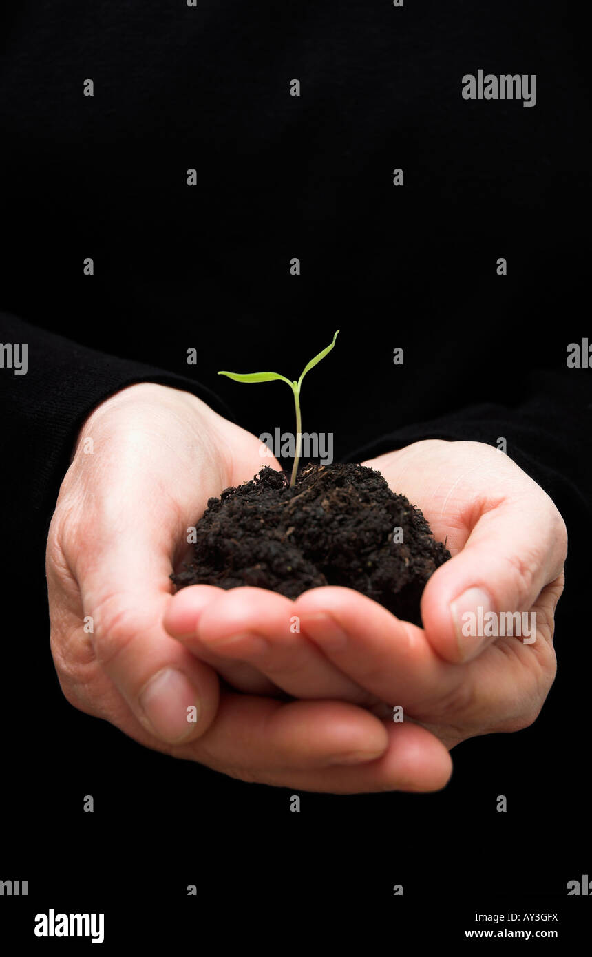 Black hands cupped soil hi-res stock photography and images - Alamy