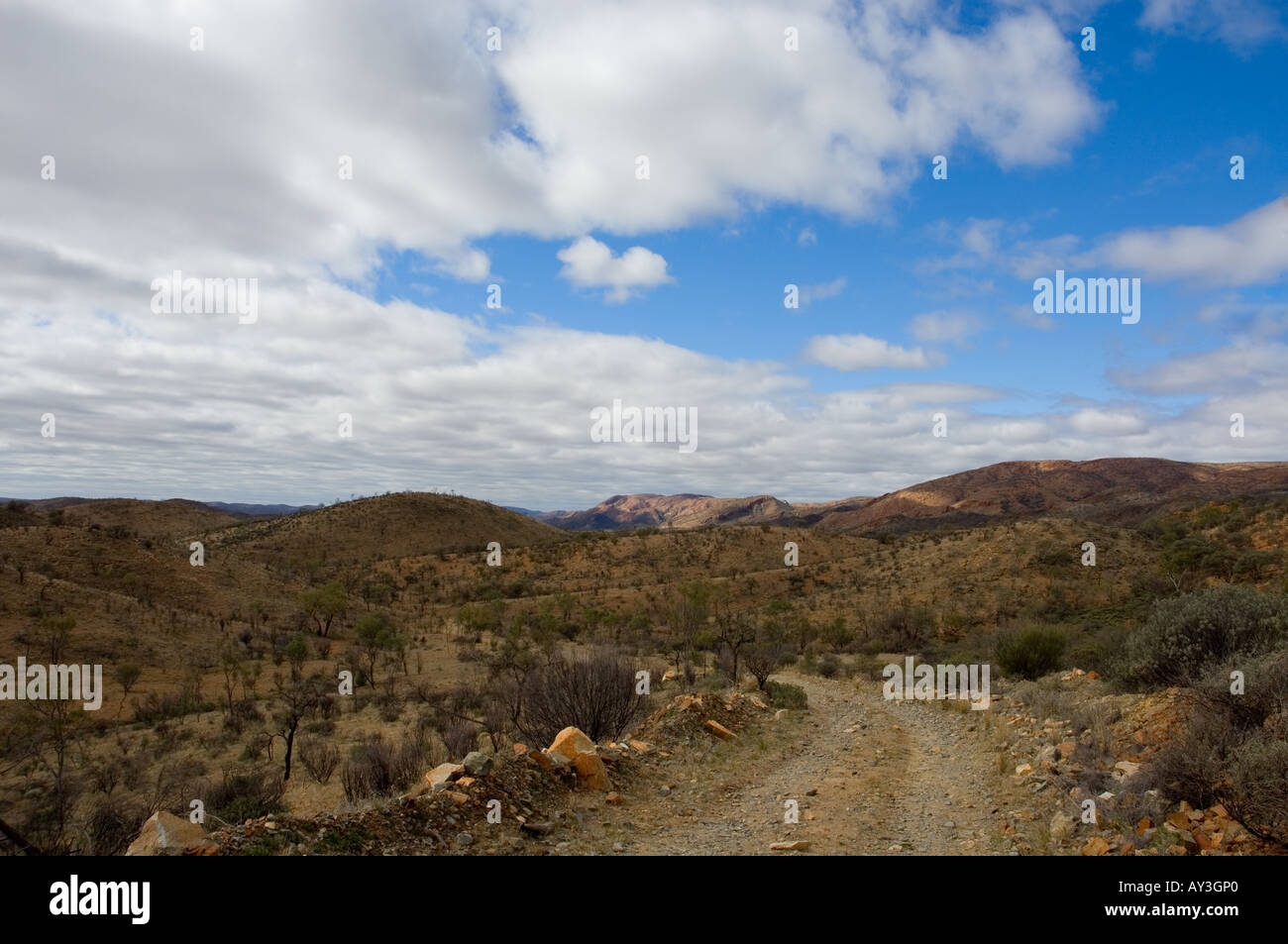 Rocky desert track Stock Photo - Alamy