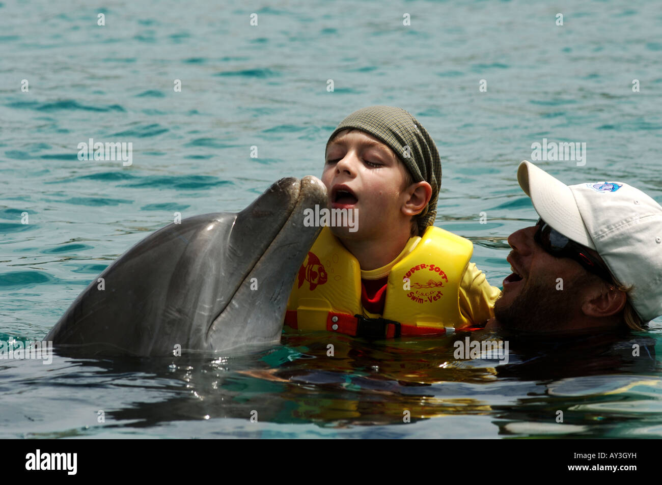 Dolphin therapy hi-res stock photography and images - Alamy