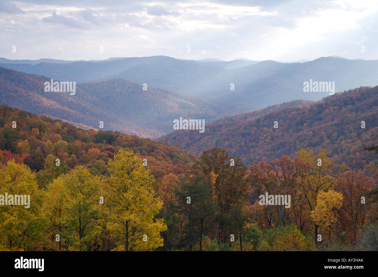 Mountainside covered with trees in fall foliage and illuminated by the ...