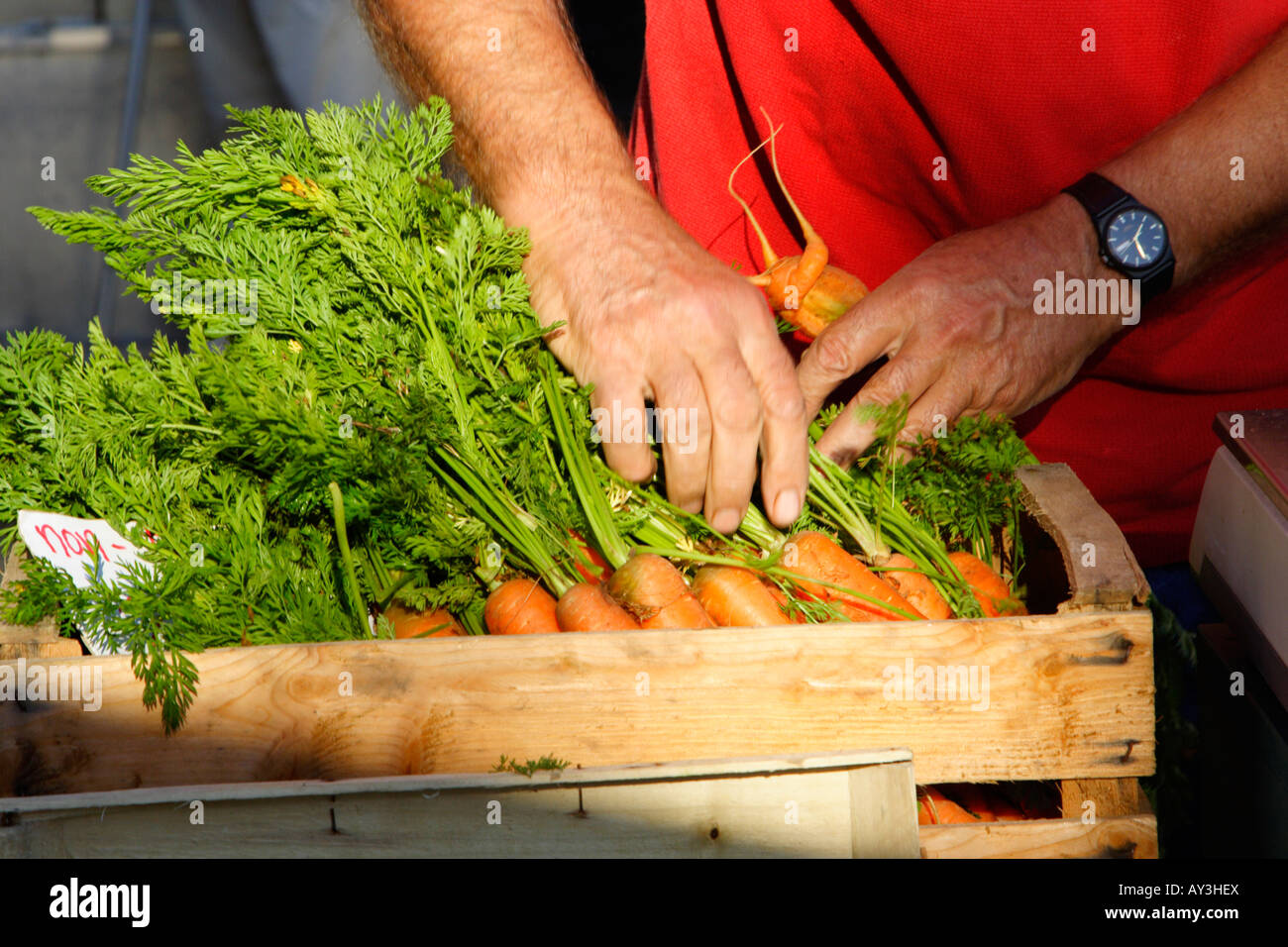 stall holder at ajaccio market sorting carrots, corsica, france Stock ...