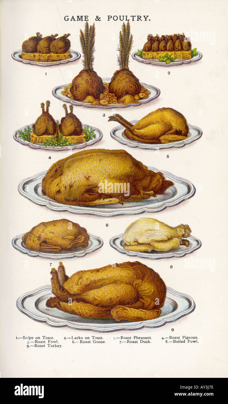 Beeton Game Poultry Stock Photo - Alamy