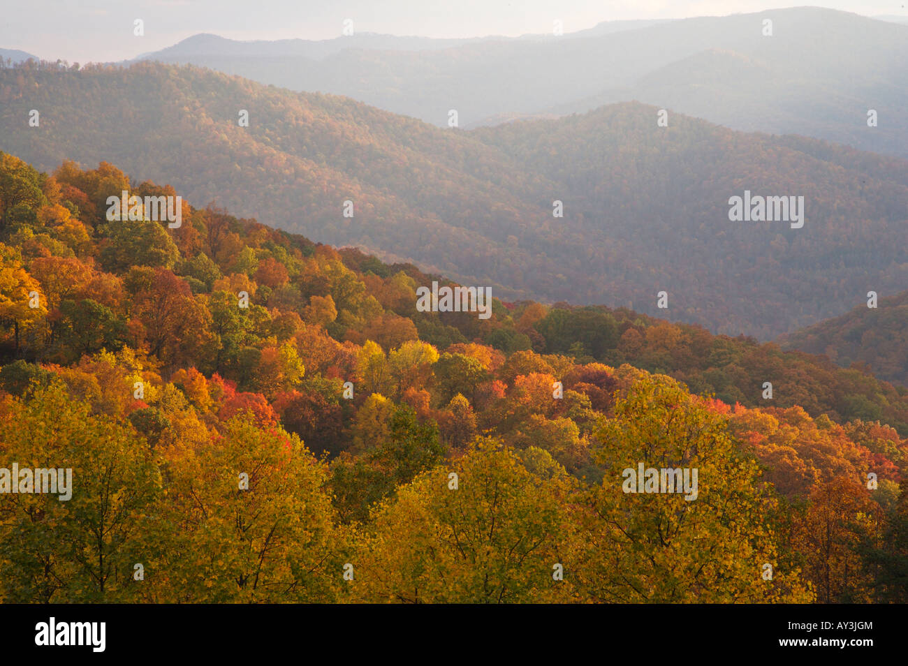 Mountainside covered with trees in fall foliage and illuminated by the ...