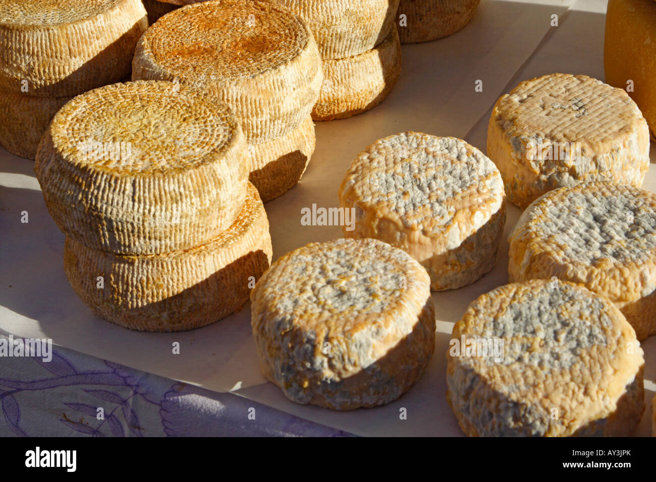 Corsican cheese hi-res stock photography and images - Alamy