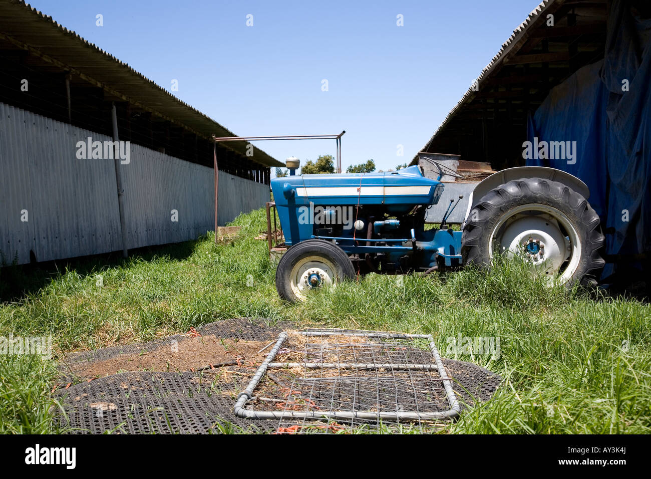 Blue Farm Tractor Stock Photo - Alamy