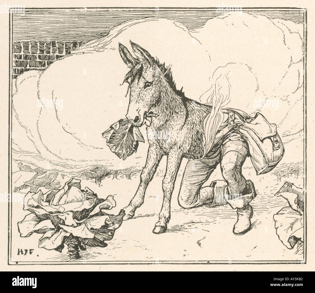 The Donkey Cabbage Stock Photo - Alamy