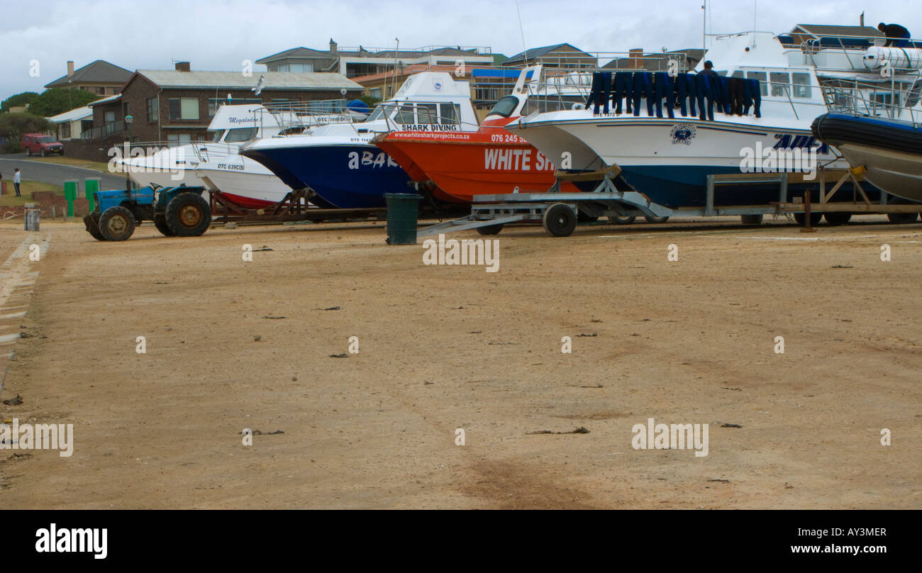 shark diving boats Stock Photo - Alamy