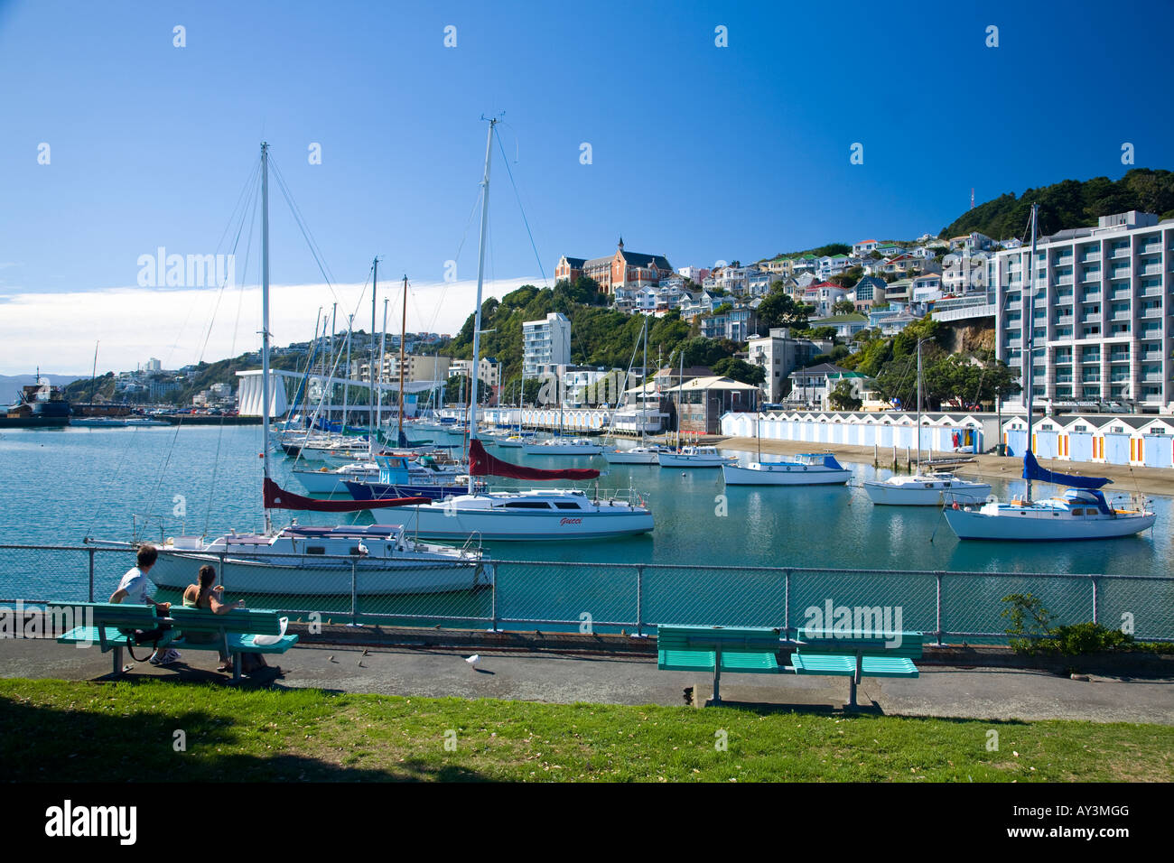 Wellington's waterfront & marina Stock Photo - Alamy