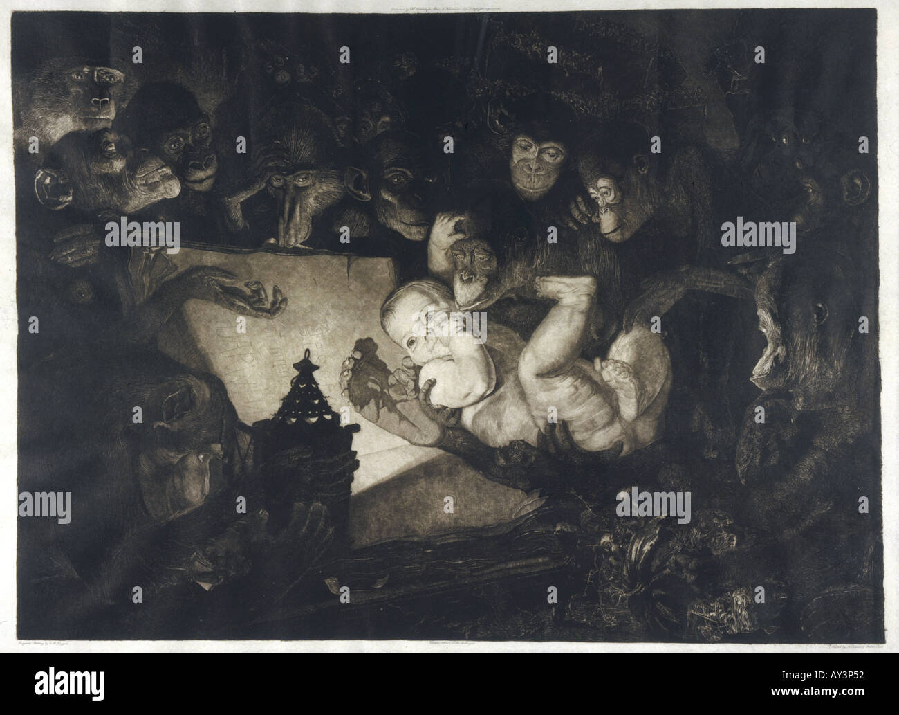 History of human evolution hi-res stock photography and images - Alamy