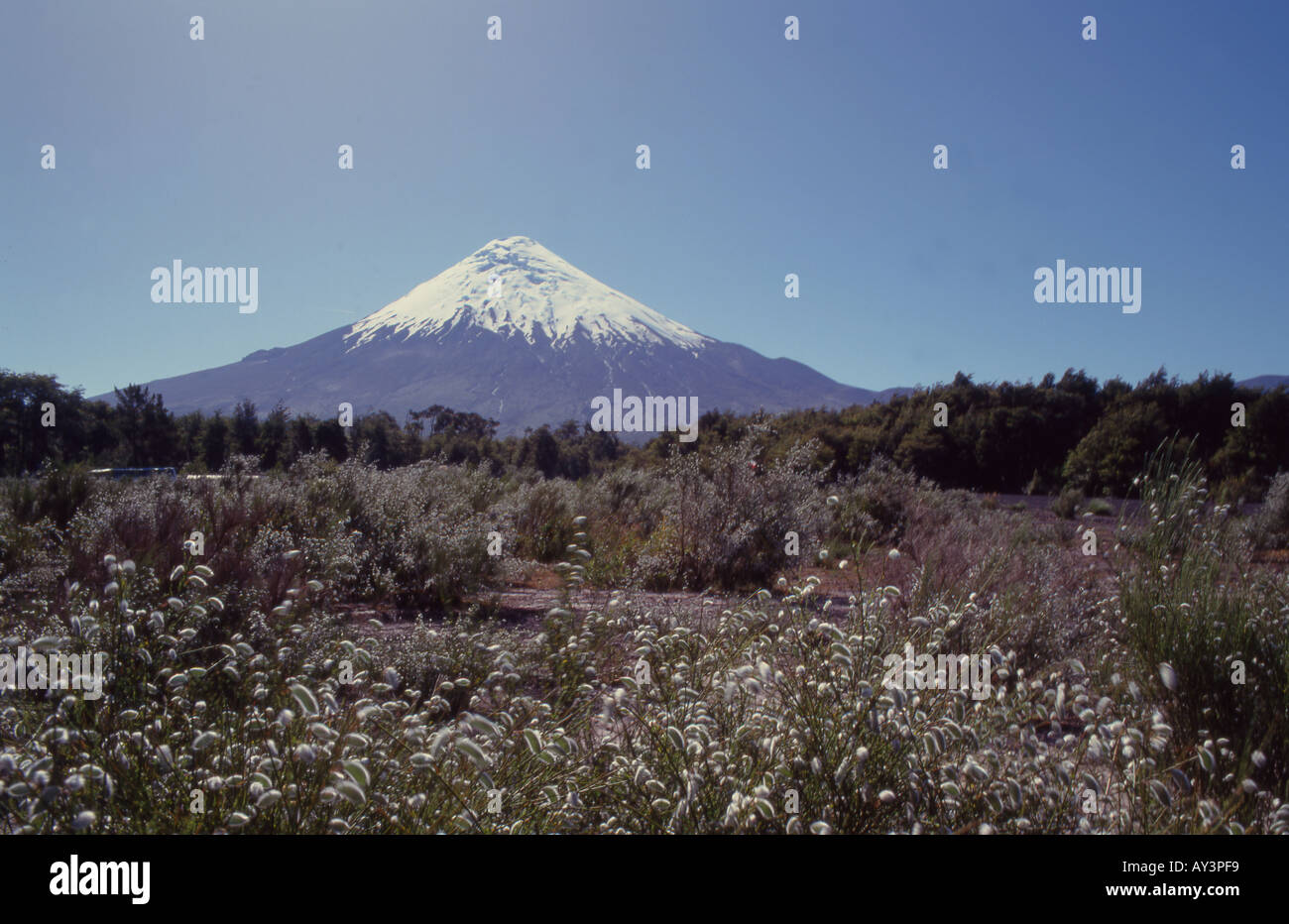 Chile Lake District Osorno Volcano Stock Photo - Alamy