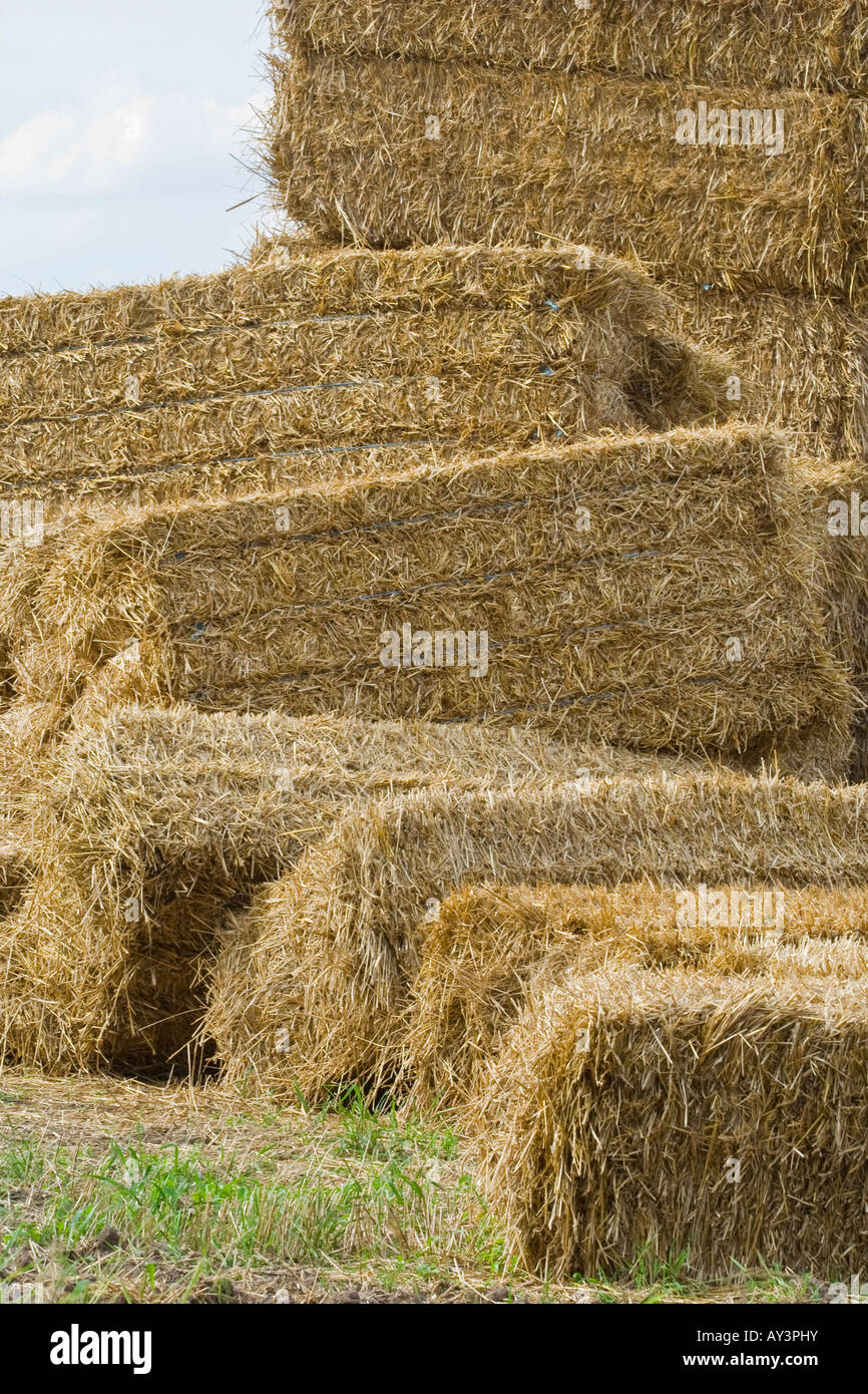 Straw stroh hi-res stock photography and images - Alamy