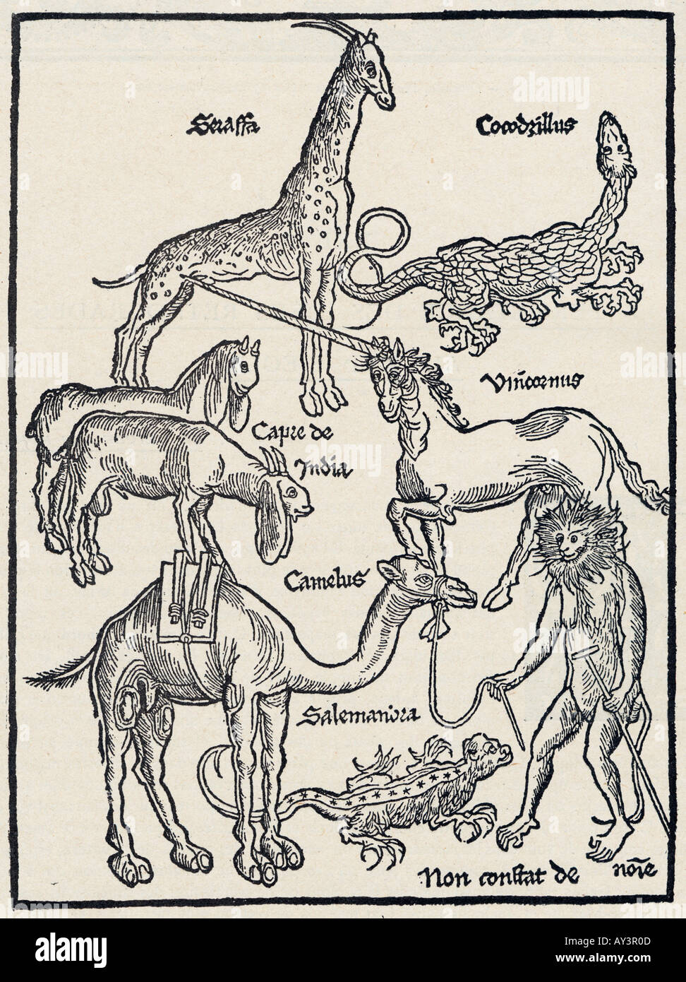 Monsters Of Asia Stock Photo - Alamy