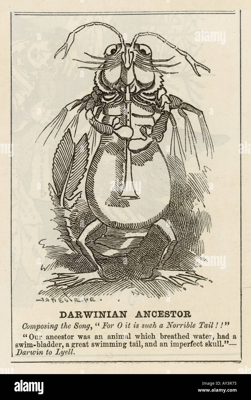 Darwin cartoon hi-res stock photography and images - Alamy