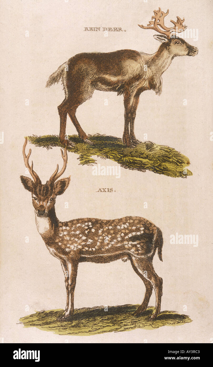 Historical axis hi-res stock photography and images - Alamy