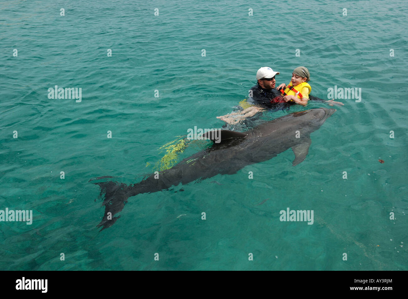 Boy wheelchair glasses High Resolution Stock Photography and Images - Alamy