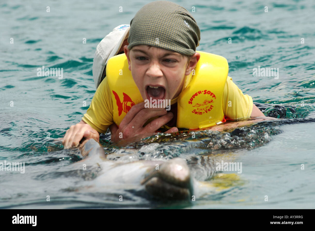 Dolphin Show At Dolphin Academy High Resolution Stock Photography and ...