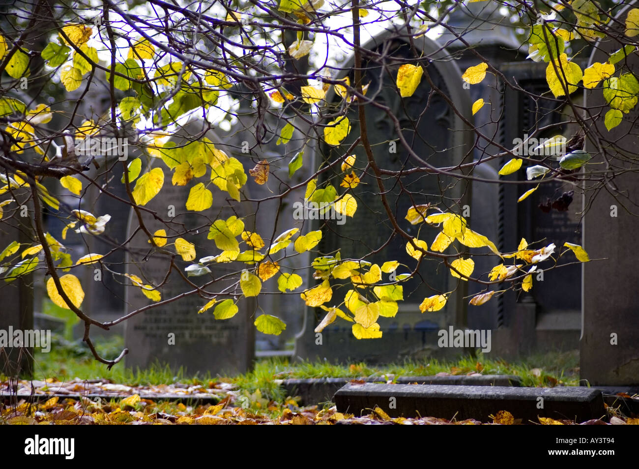 The graveyard of Haworth Church in Autumn Stock Photo - Alamy