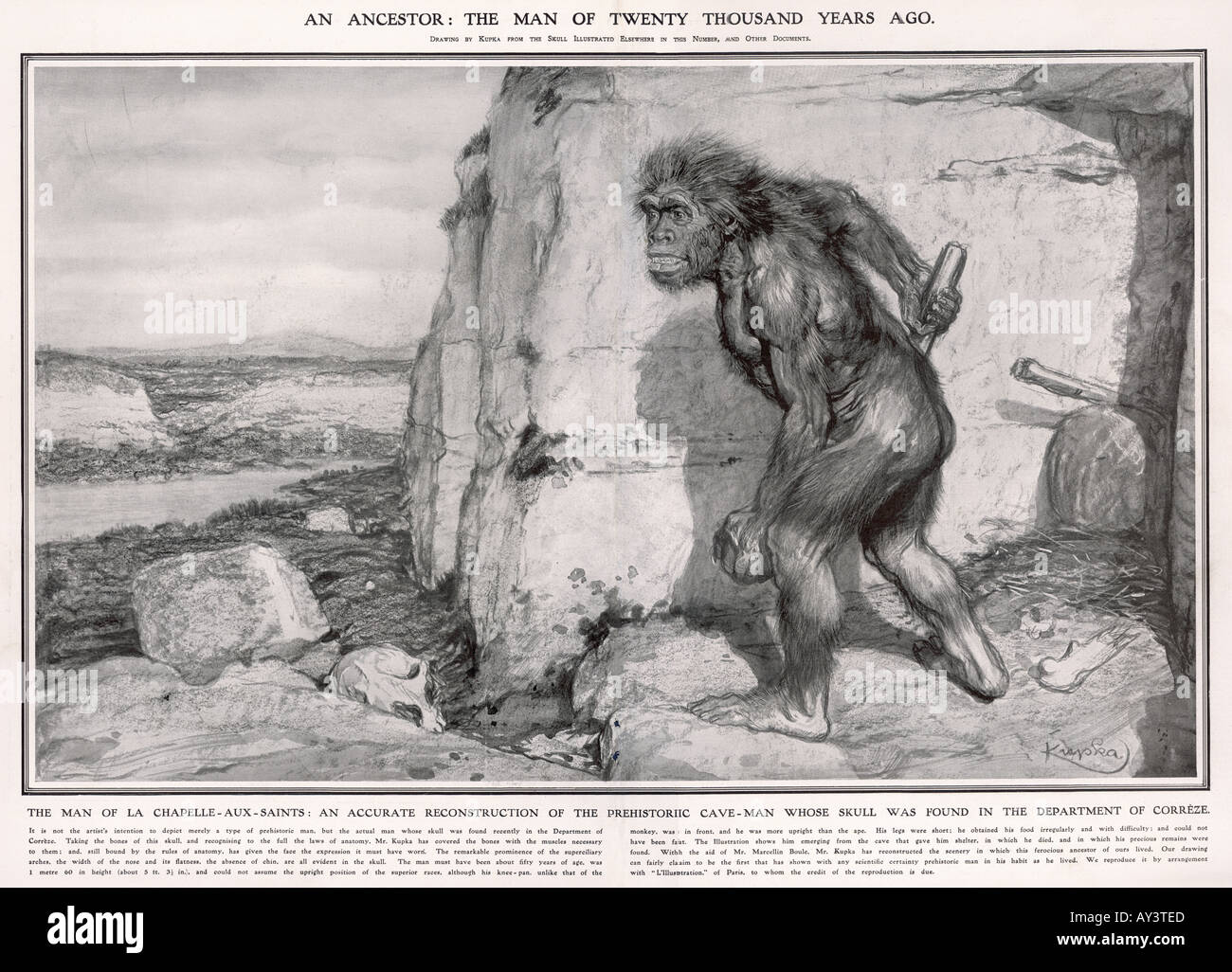 The neanderthal man hi-res stock photography and images - Alamy