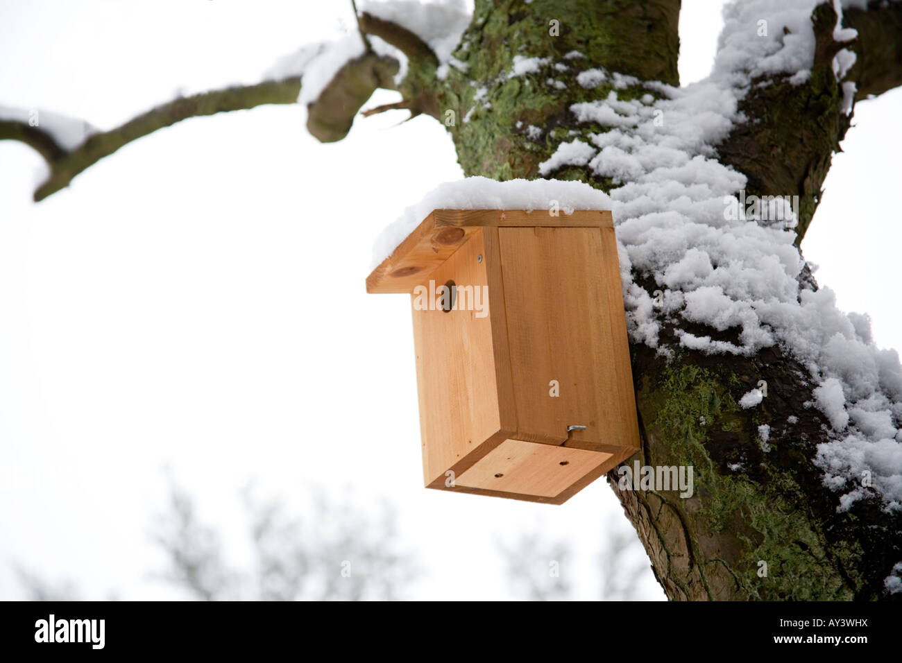 Bird nest box in winter covered in snow Stock Photo - Alamy