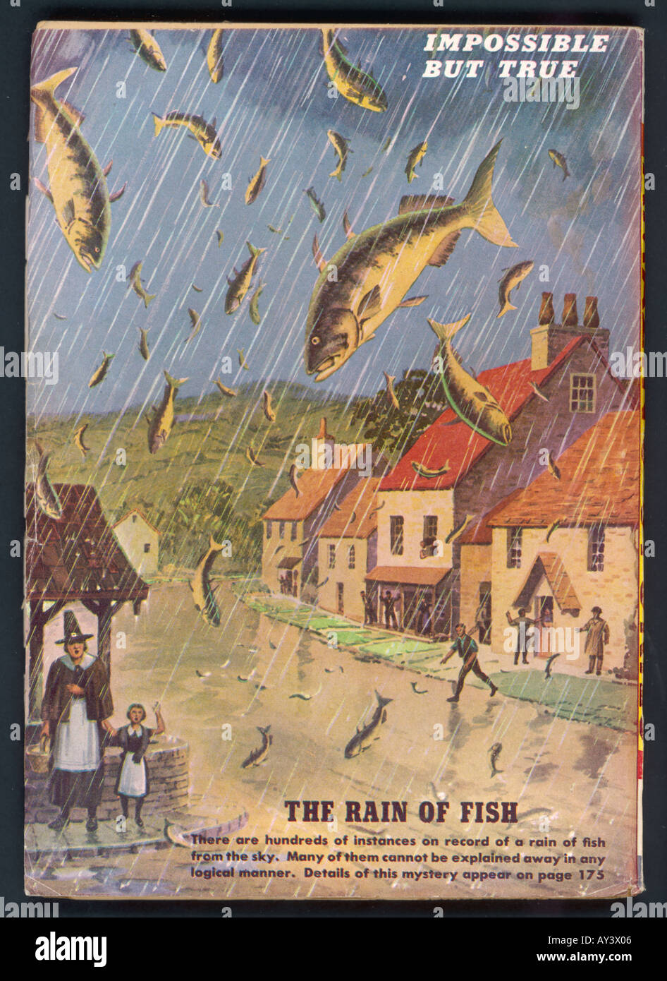 Fish Fall From Sky Stock Photo - Alamy