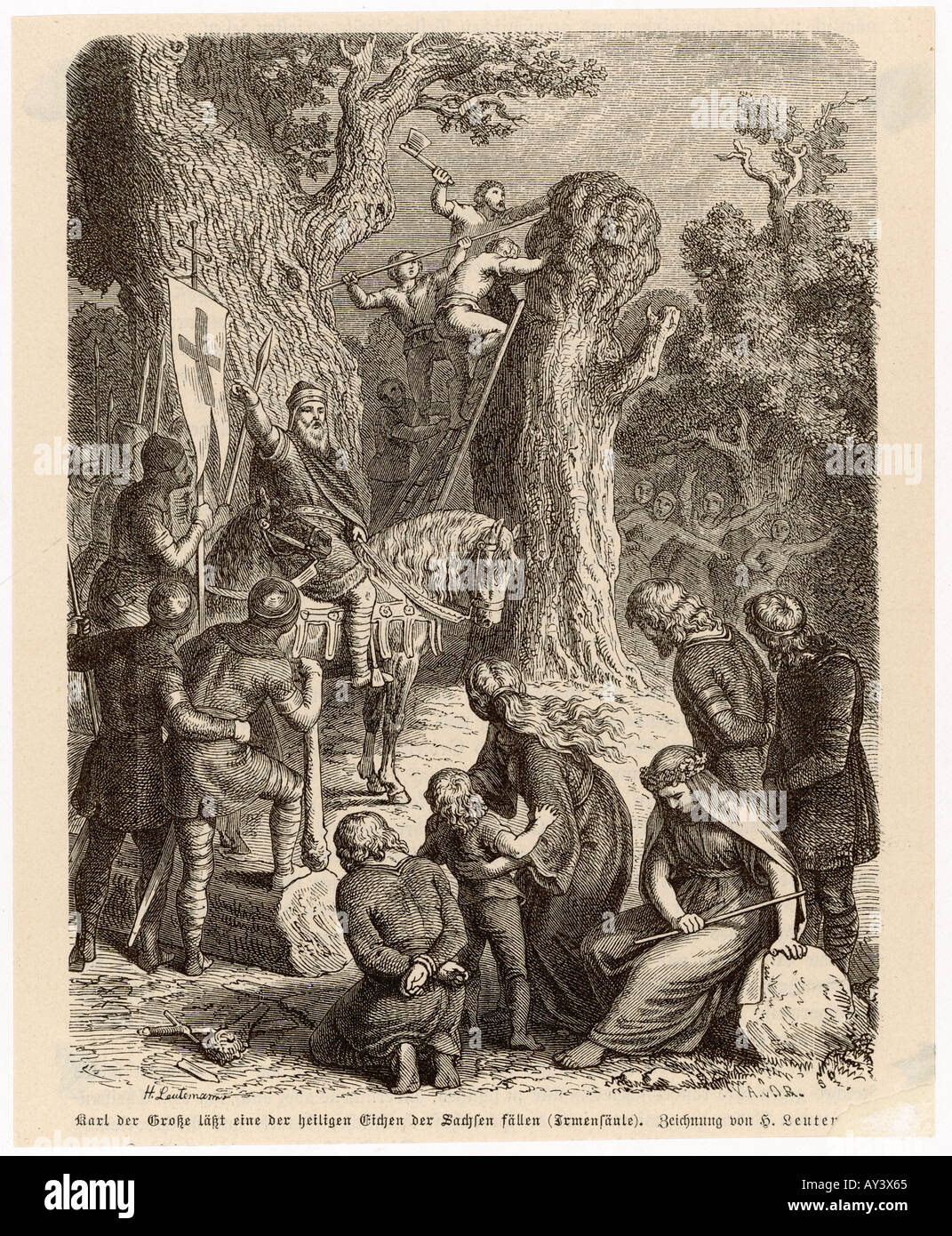 Sacred Oak Destroyed Stock Photo - Alamy