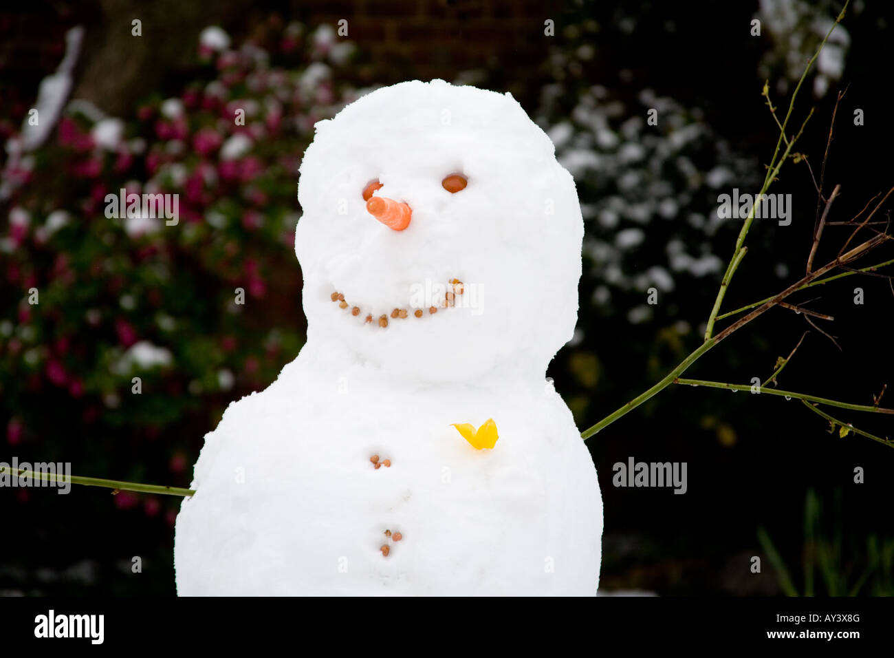A happy looking snowman in a garden in the Winter Stock Photo - Alamy