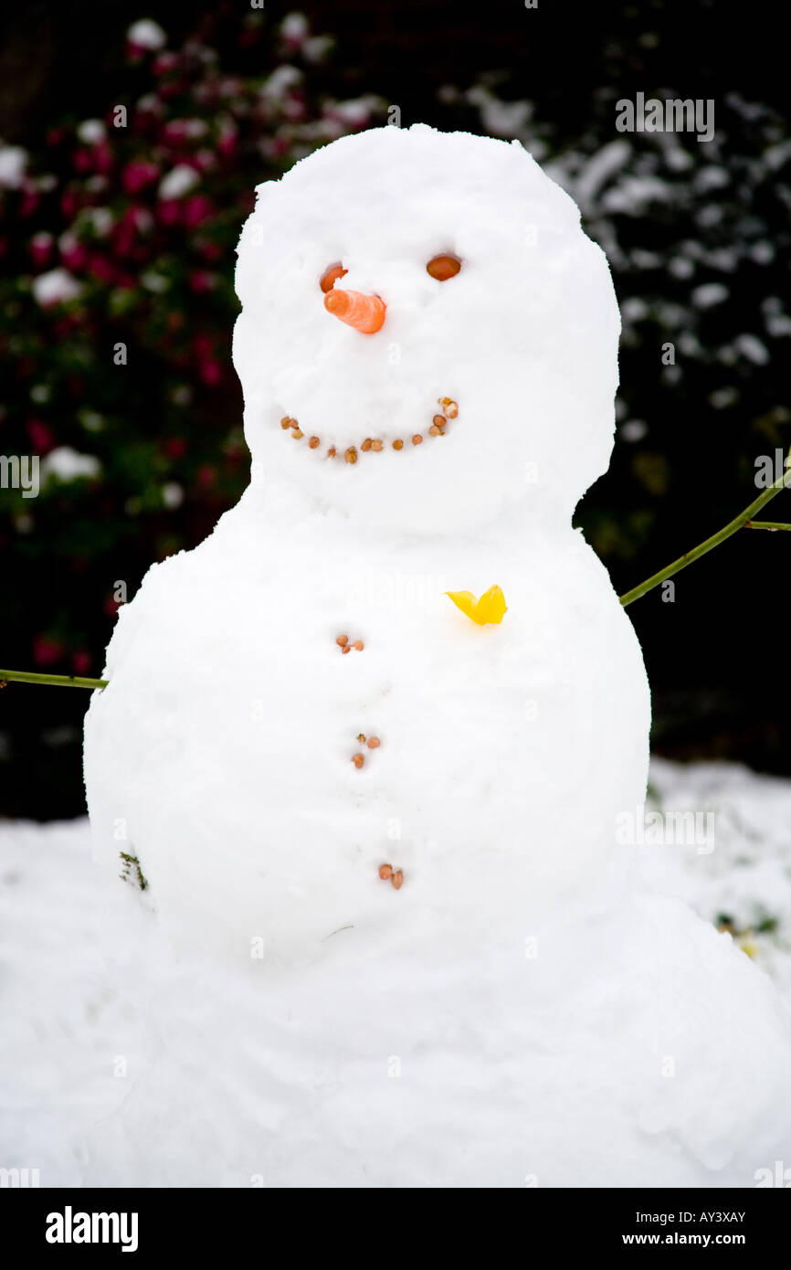 A happy looking snowman in a garden in the Winter Stock Photo - Alamy
