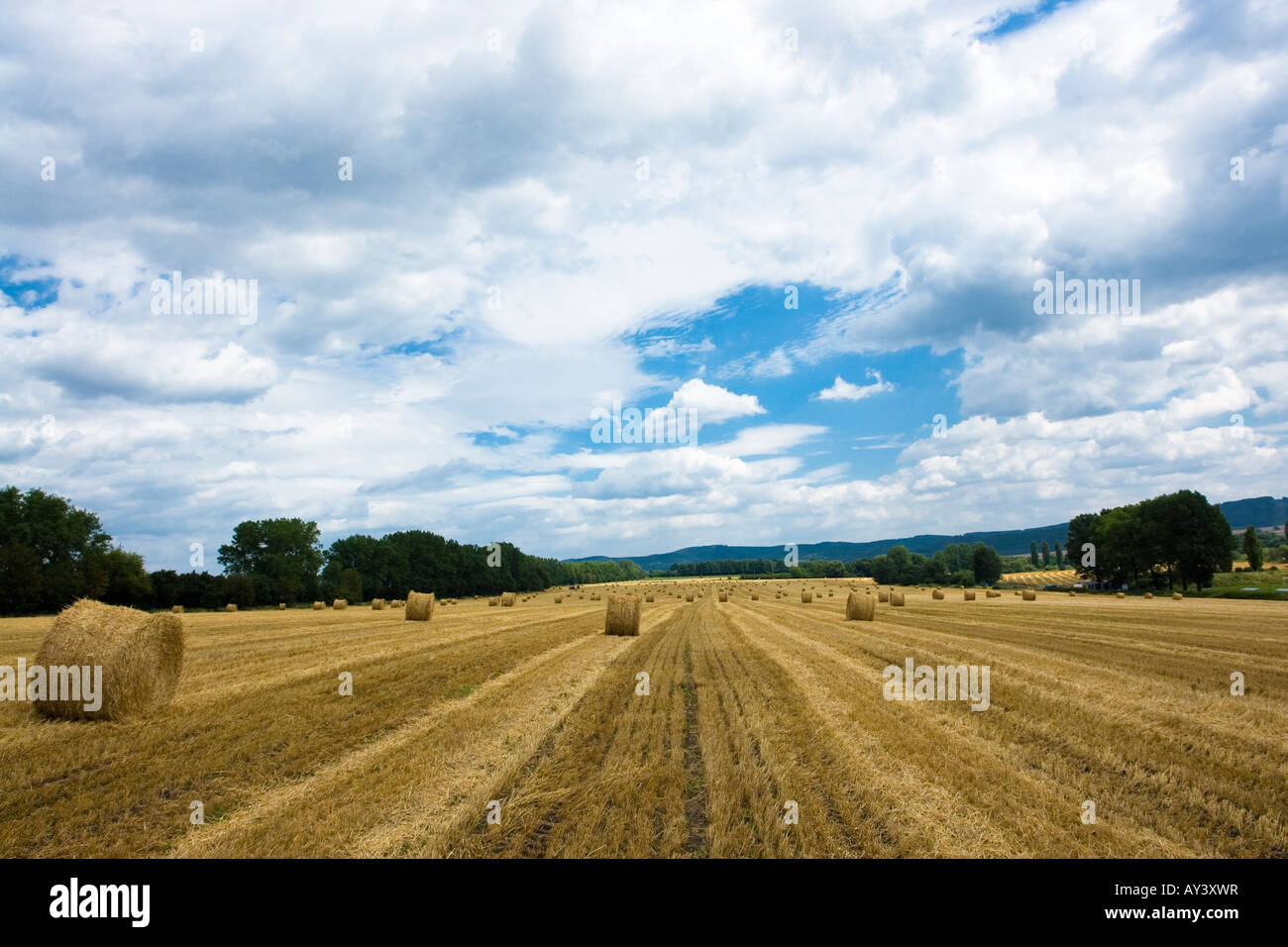 Czech field after harvest Stock Photo - Alamy