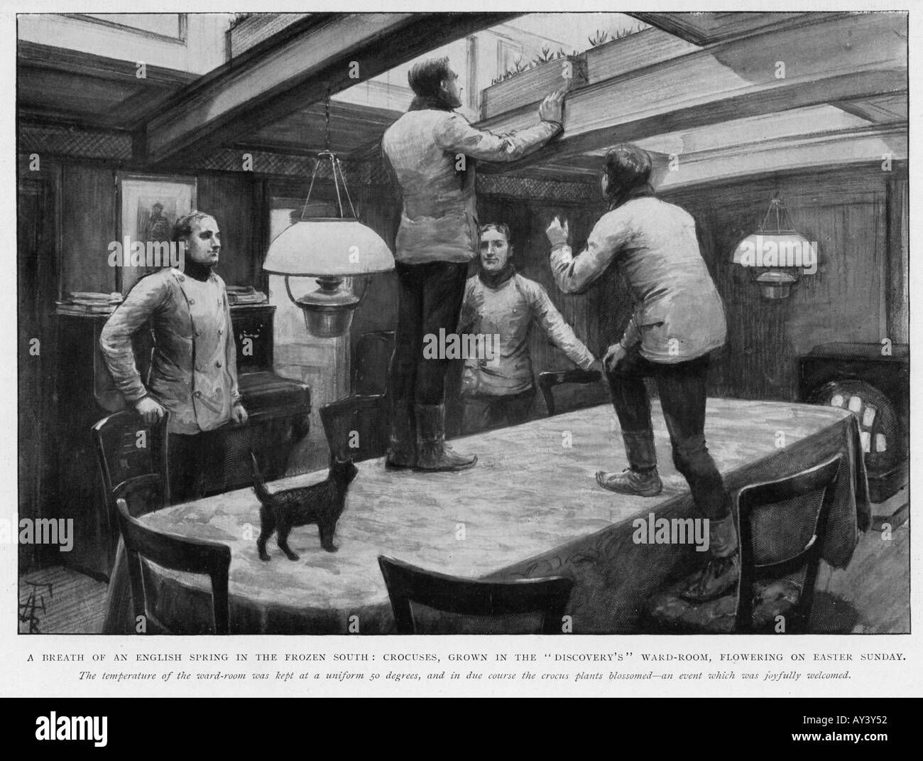 Shackleton expedition hi-res stock photography and images - Alamy