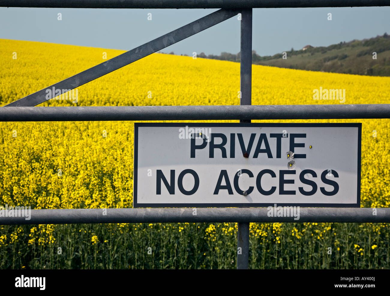 Private - No Access Sign on a Gate with a Yellow Rapeseed Field in the ...
